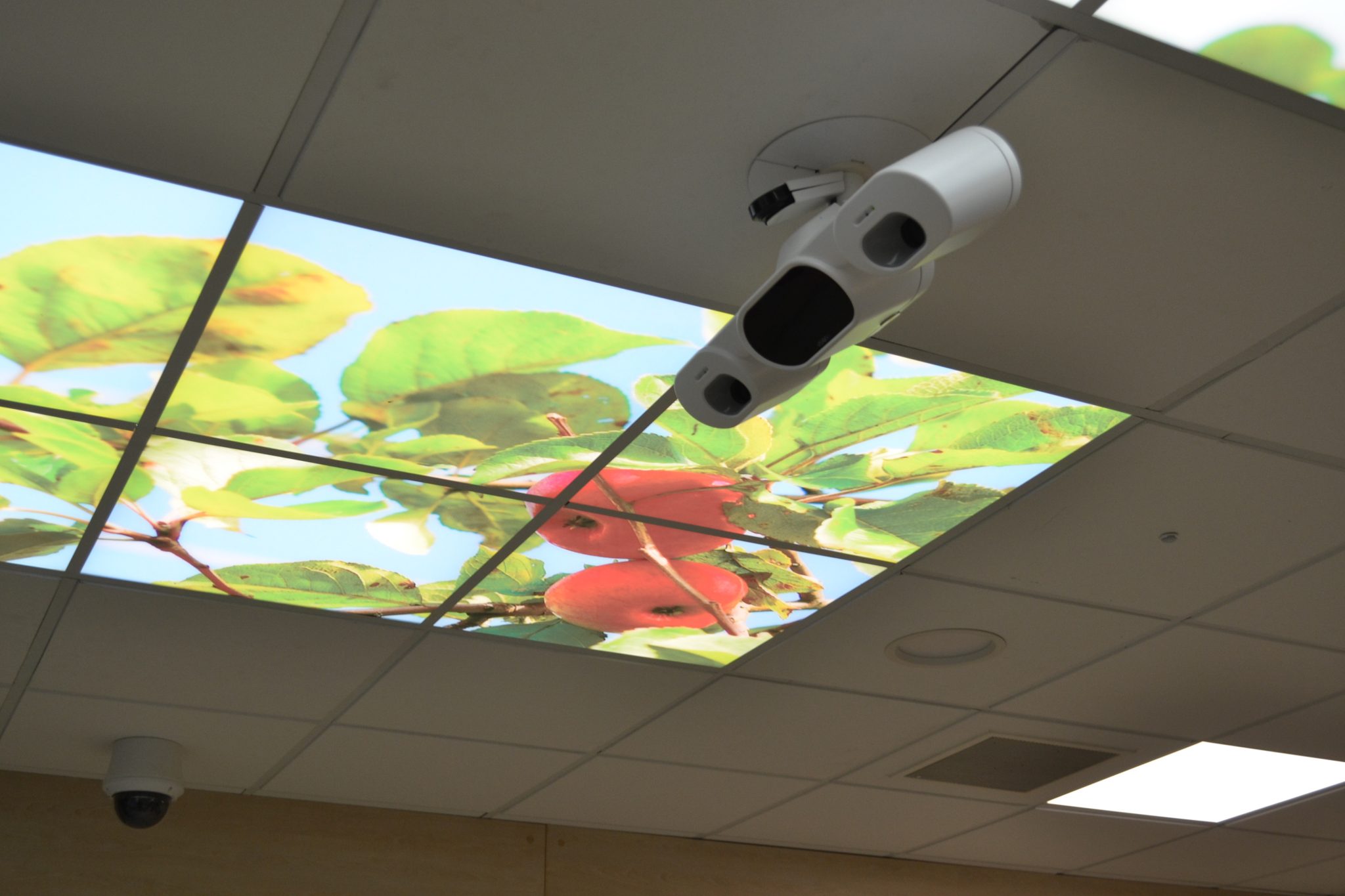 SURE funded Surface Guided Radiotherapy - Press Release - S.U.R.E ...